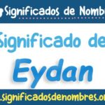 Significado de Elan 【 APODOS, ORIGEN Y MÁS