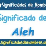 Significado de Theo 【 APODOS, ORIGEN Y MÁS